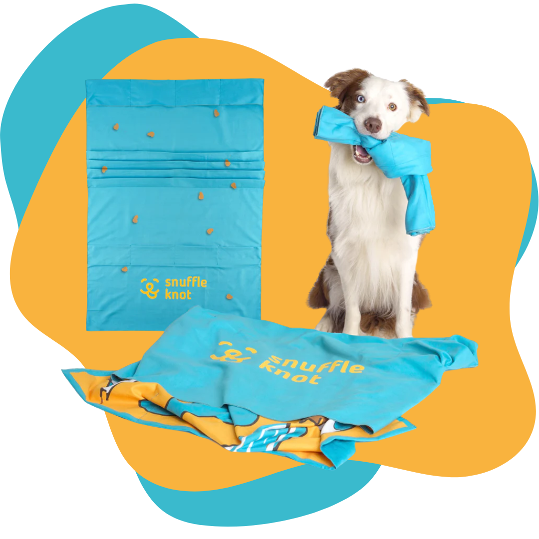 The Original™️ Snuffle Knot! (Teal)